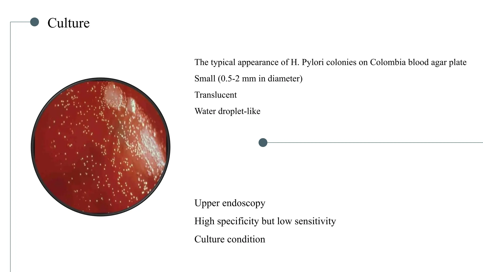 Diagnosis tests of Helicobacter pylori – PPT & pdf file | PPT