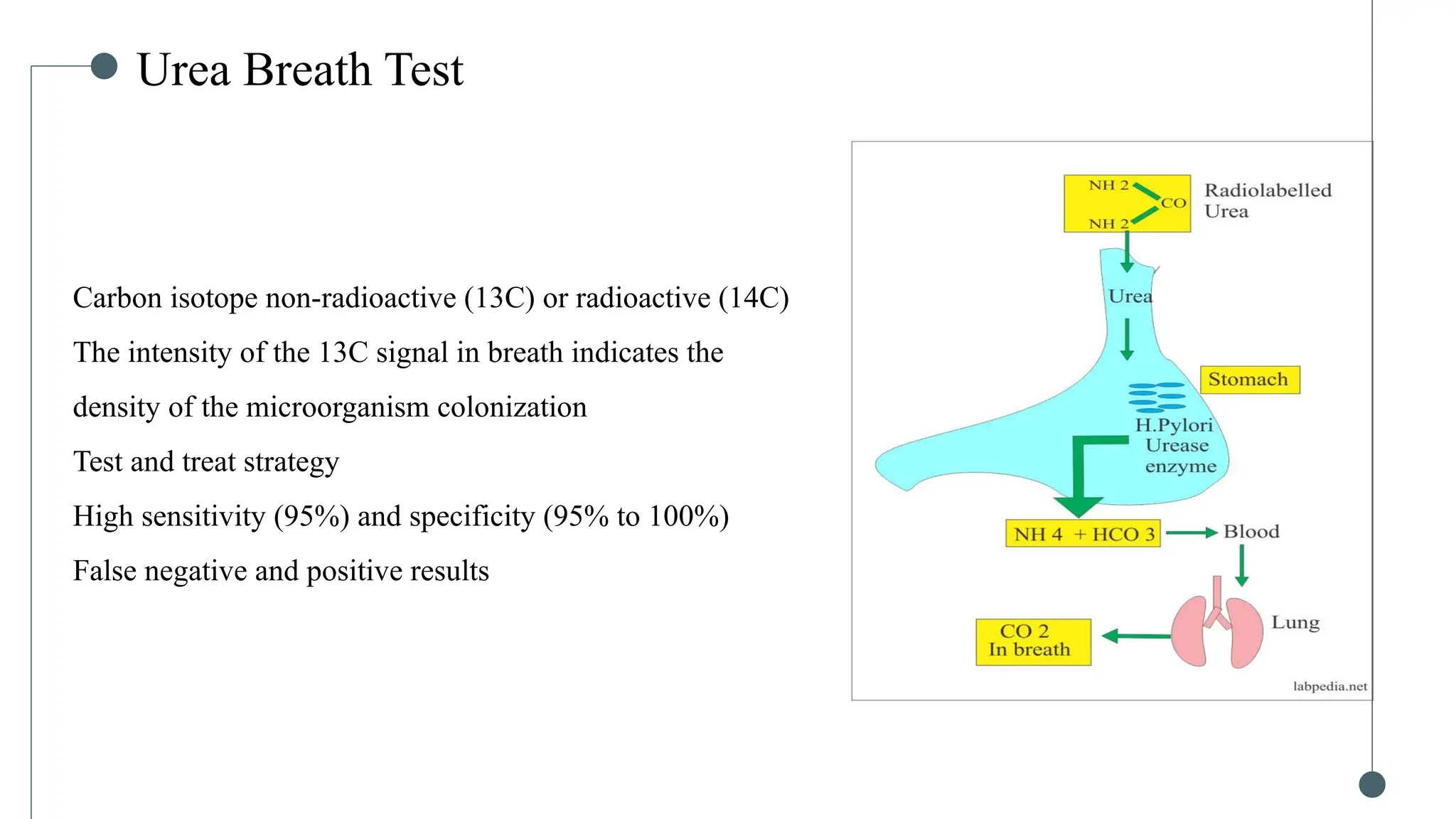 Diagnosis tests of Helicobacter pylori – PPT & pdf file | PPT