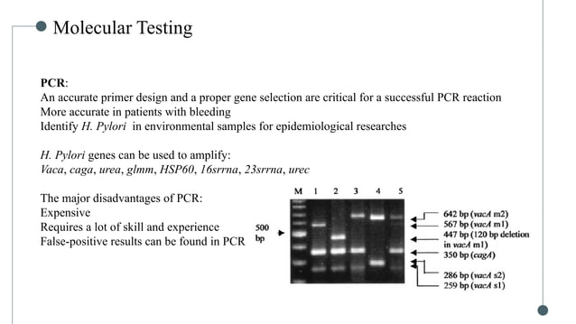 Diagnosis tests of Helicobacter pylori – PPT & pdf file | PPT