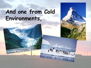 AQA Geography A level | PPT