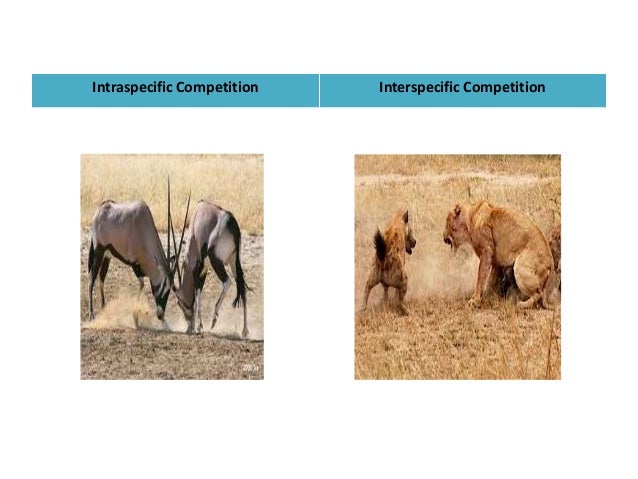 Aqa a2 biology unit 4 complete