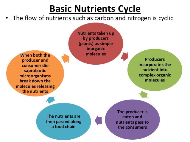 Aqa a2 biology unit 4 complete