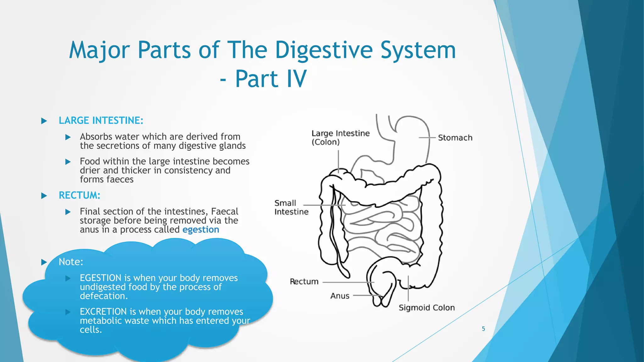 AQA AS Biology - Unit 1 - Biology and Disease - Chapter 2 (2.1 and 2.4 ...