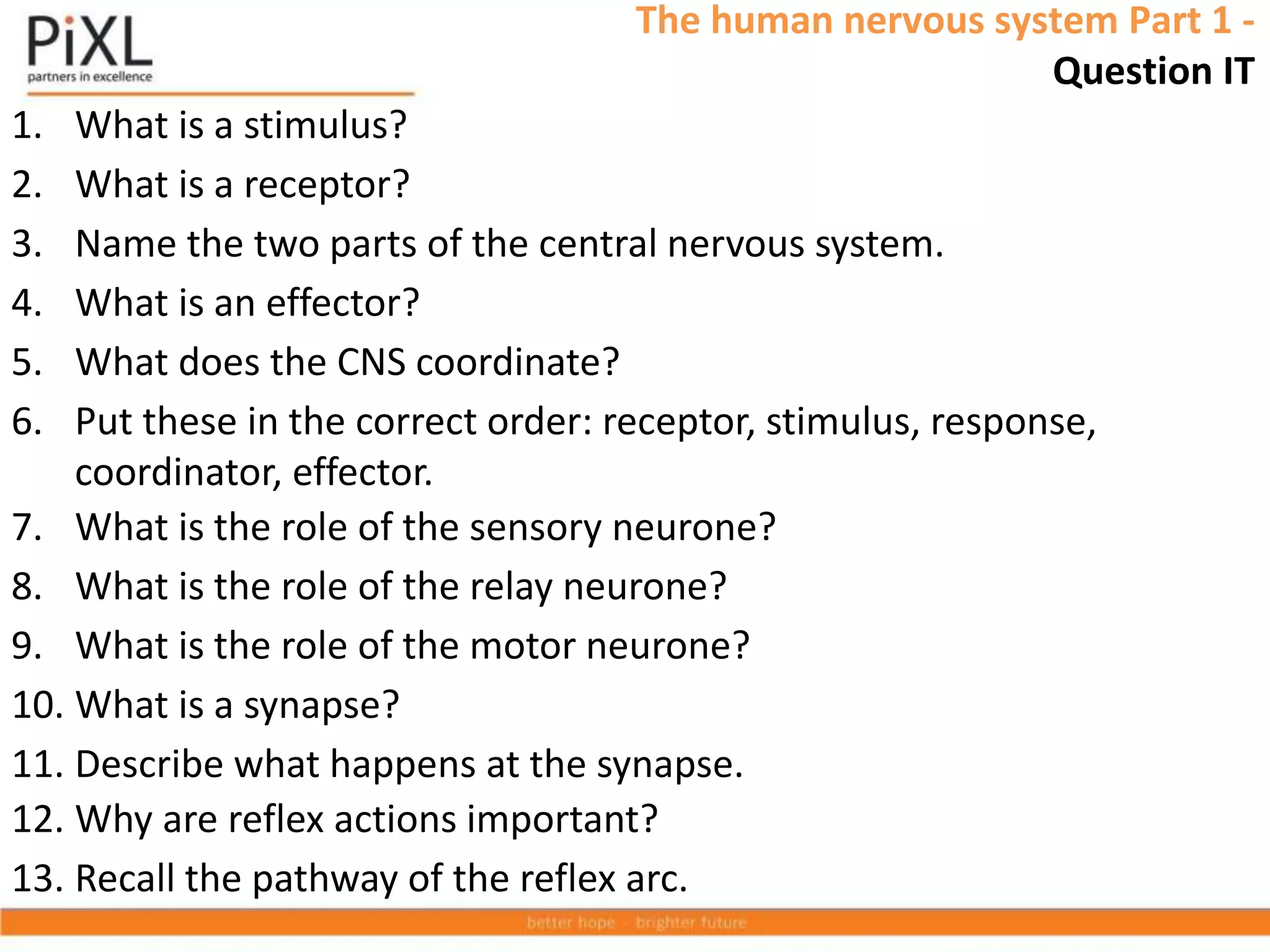AQA_Biology_Homeostasis-and-response_KnowIT_GCSE-nervous-system.pptx