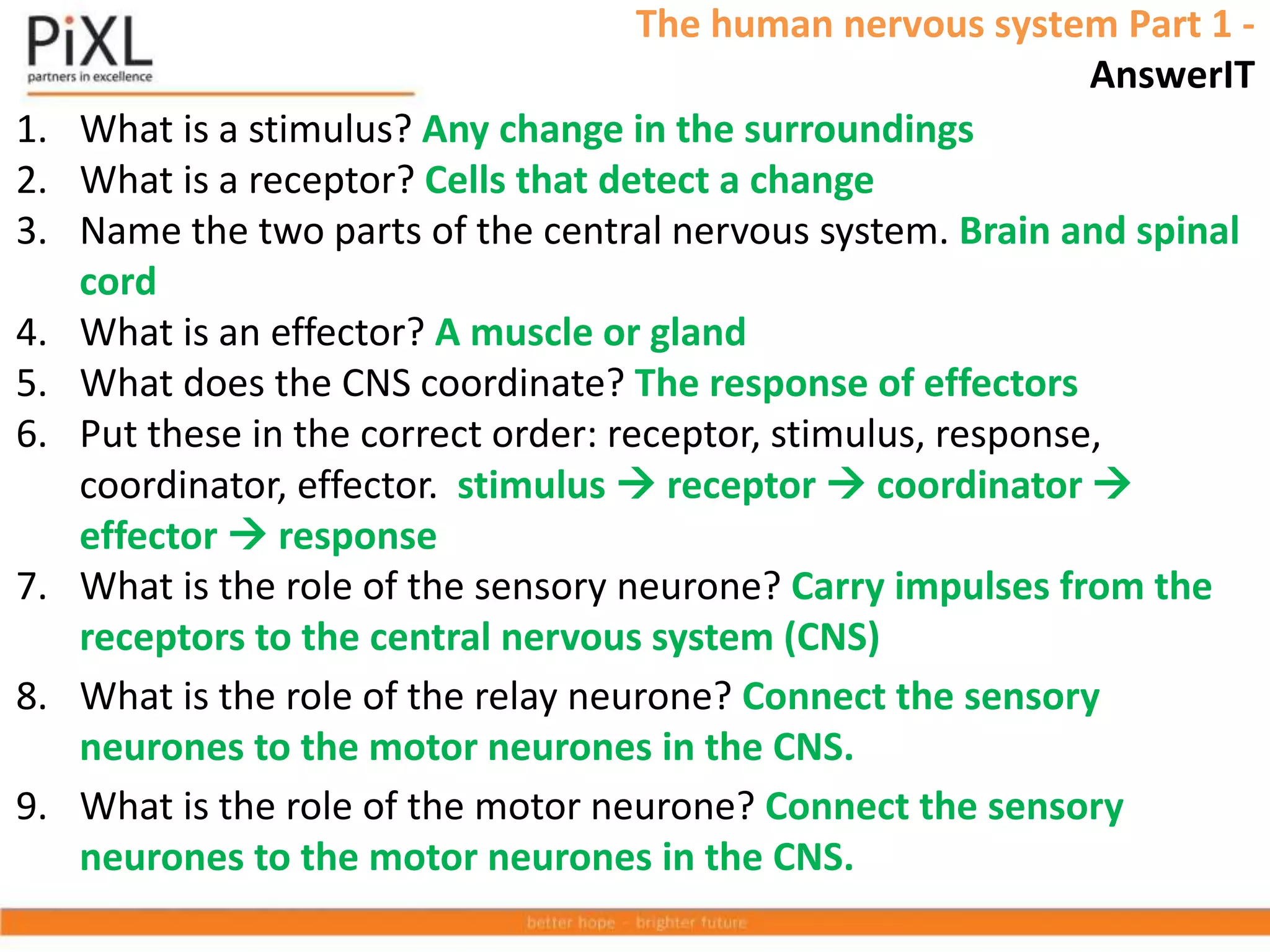 AQA_Biology_Homeostasis-and-response_KnowIT_GCSE-nervous-system.pptx