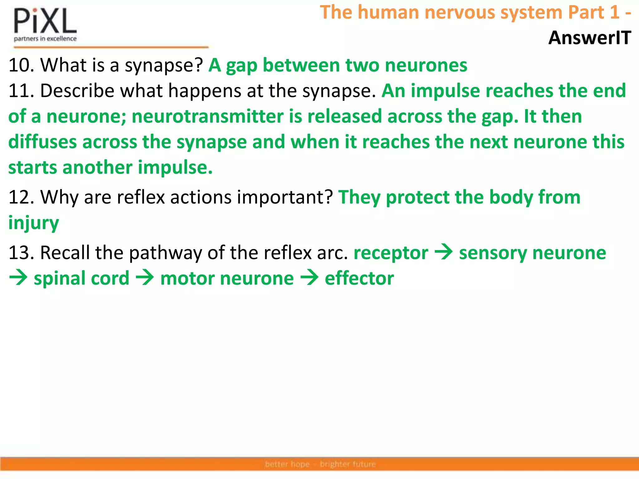 AQA_Biology_Homeostasis-and-response_KnowIT_GCSE-nervous-system.pptx
