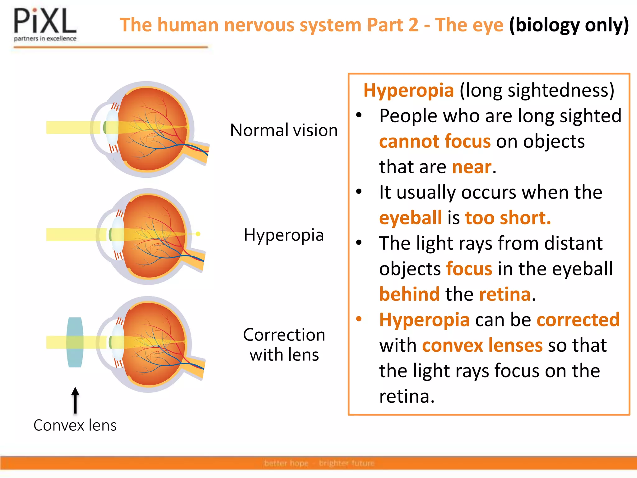 AQA_Biology_Homeostasis-and-response_KnowIT_GCSE-nervous-system.pptx