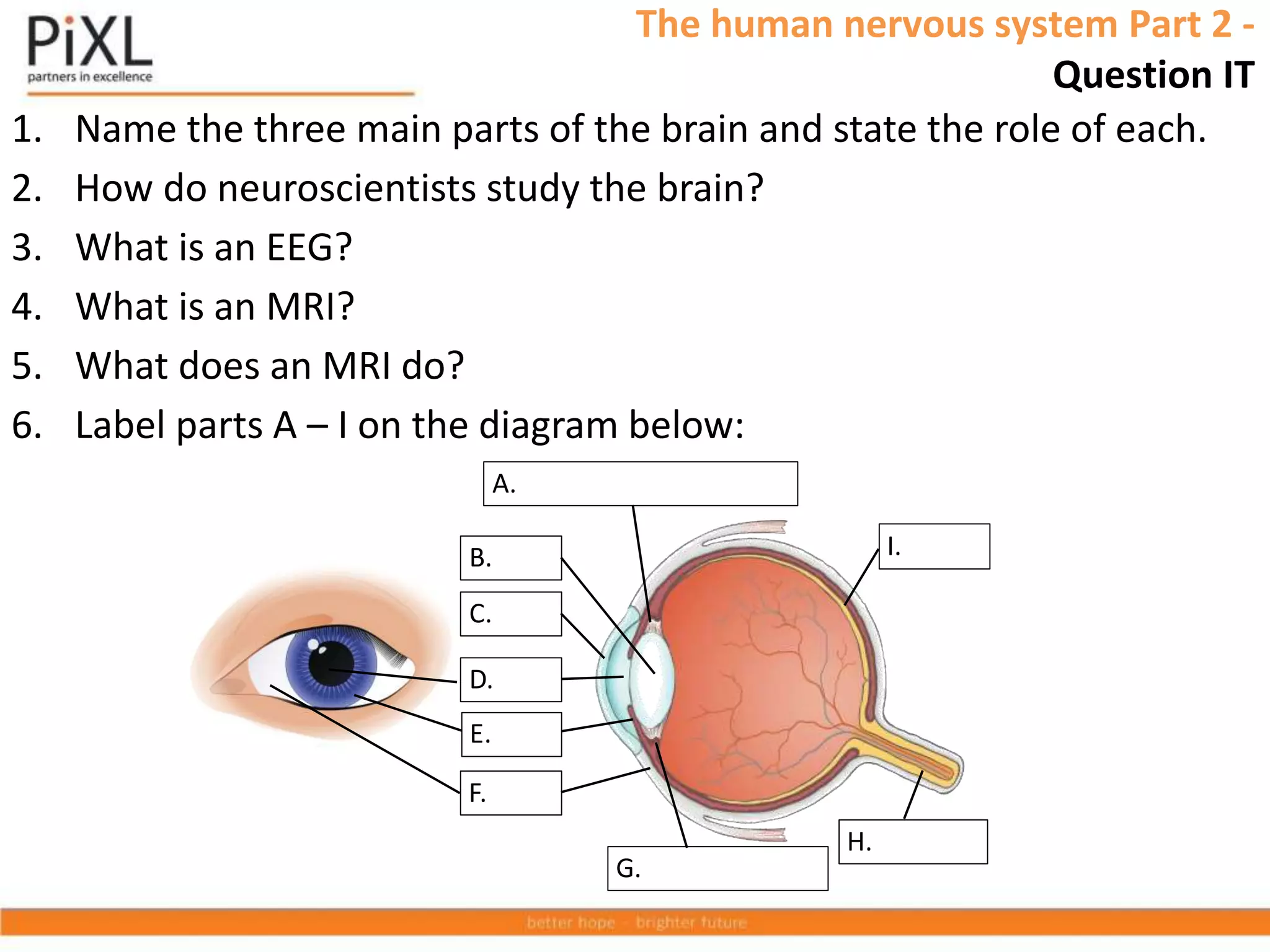 AQA_Biology_Homeostasis-and-response_KnowIT_GCSE-nervous-system.pptx
