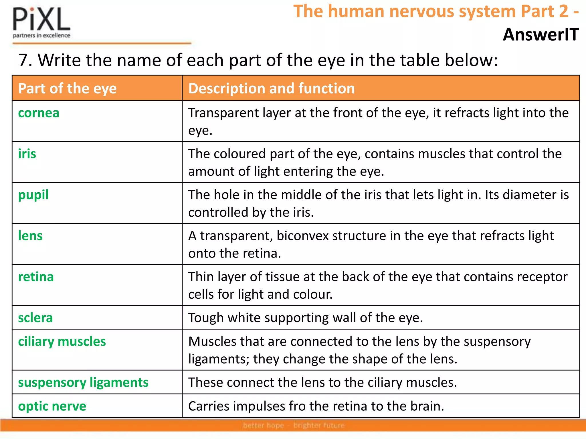 AQA_Biology_Homeostasis-and-response_KnowIT_GCSE-nervous-system.pptx