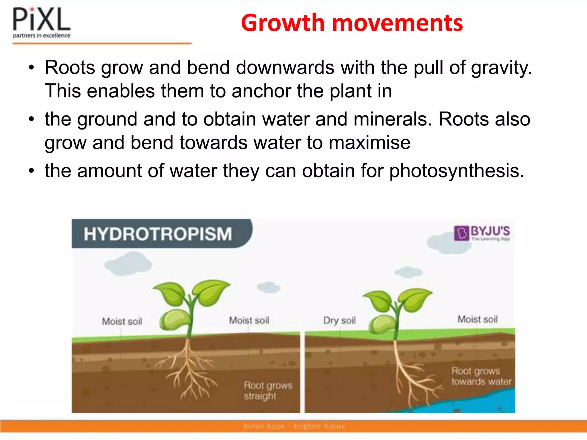 AQA_Biology_Homeostasis-and-response_KnowIT_GCSE-nervous-system.pptx