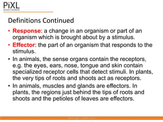 AQA_Biology_Homeostasis-and-response_KnowIT_GCSE-nervous-system.pptx