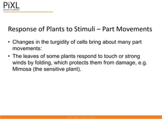 AQA_Biology_Homeostasis-and-response_KnowIT_GCSE-nervous-system.pptx