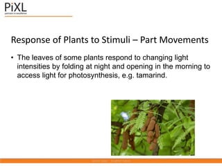 AQA_Biology_Homeostasis-and-response_KnowIT_GCSE-nervous-system.pptx