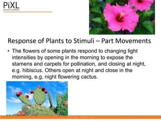 AQA_Biology_Homeostasis-and-response_KnowIT_GCSE-nervous-system.pptx
