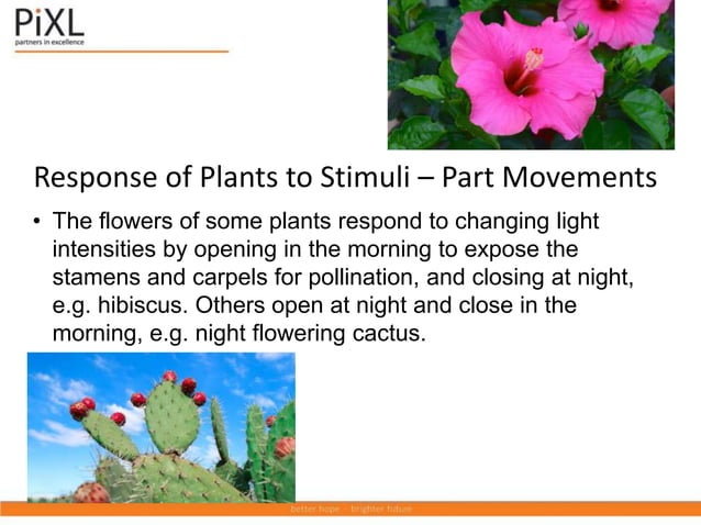 AQA_Biology_Homeostasis-and-response_KnowIT_GCSE-nervous-system.pptx