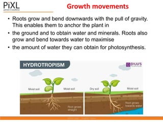 AQA_Biology_Homeostasis-and-response_KnowIT_GCSE-nervous-system.pptx