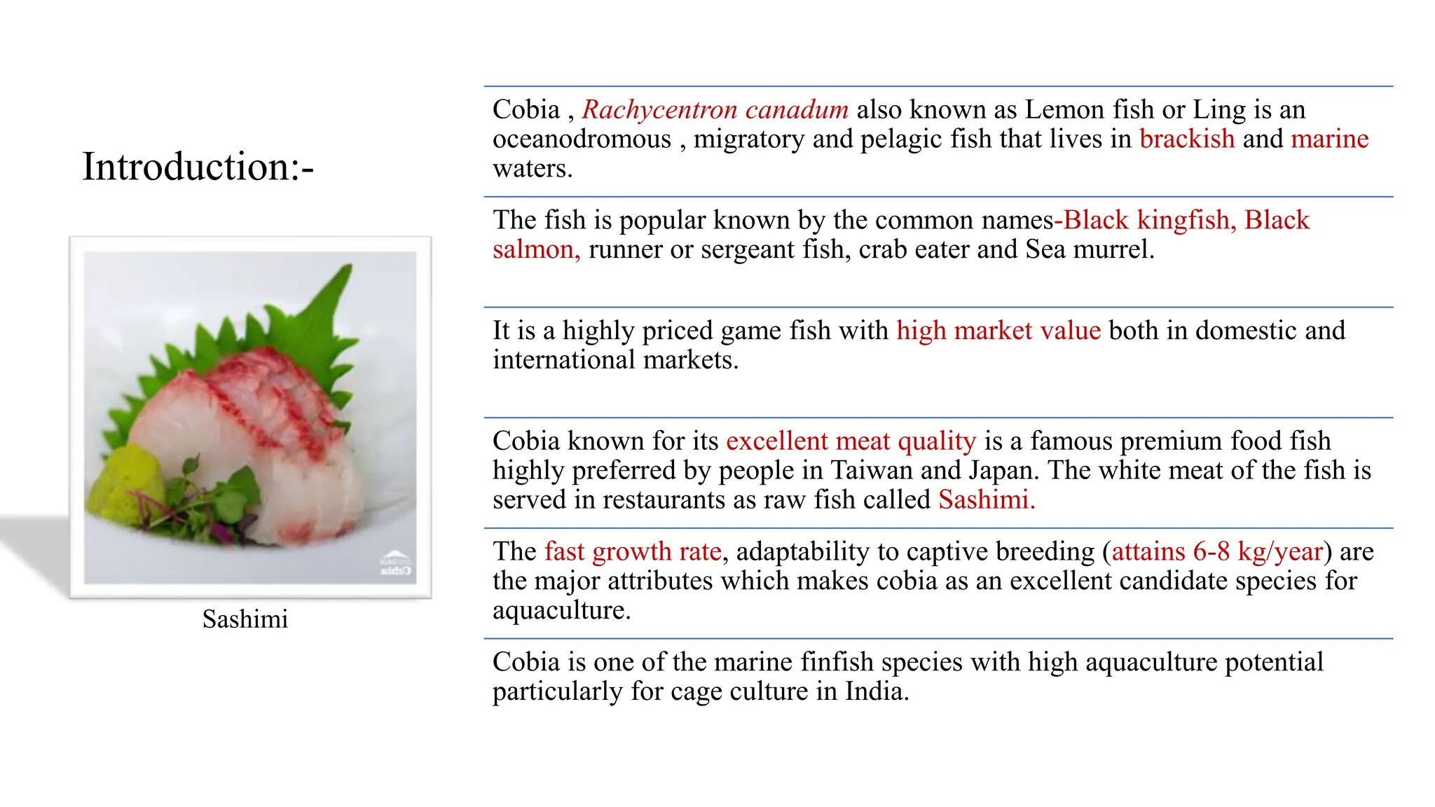 Culture Of Cobia- Its Biology, Seed Collection & Culture Techniques | PPTX