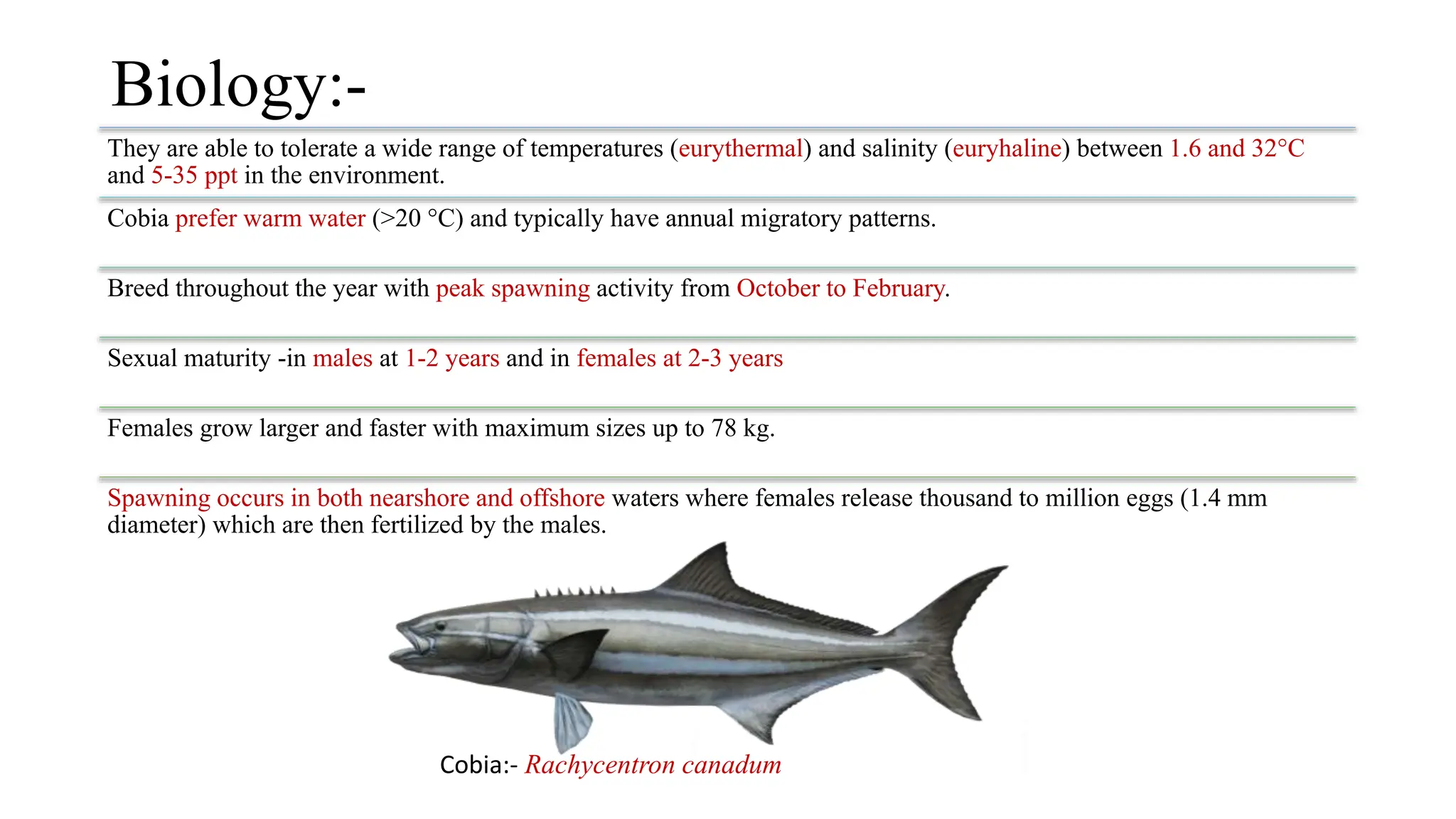 Culture Of Cobia- Its Biology, Seed Collection & Culture Techniques | PPTX
