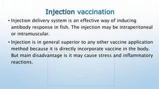 Vaccine: It’s Uses and Advantages & Disadvantages. | PPTX | Infectious ...