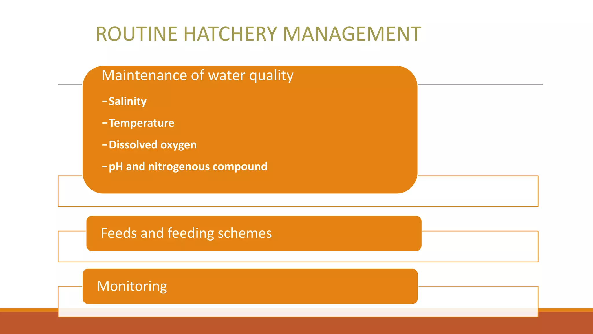 ROUTINE HATCHERY MANAGEMENT | PPT