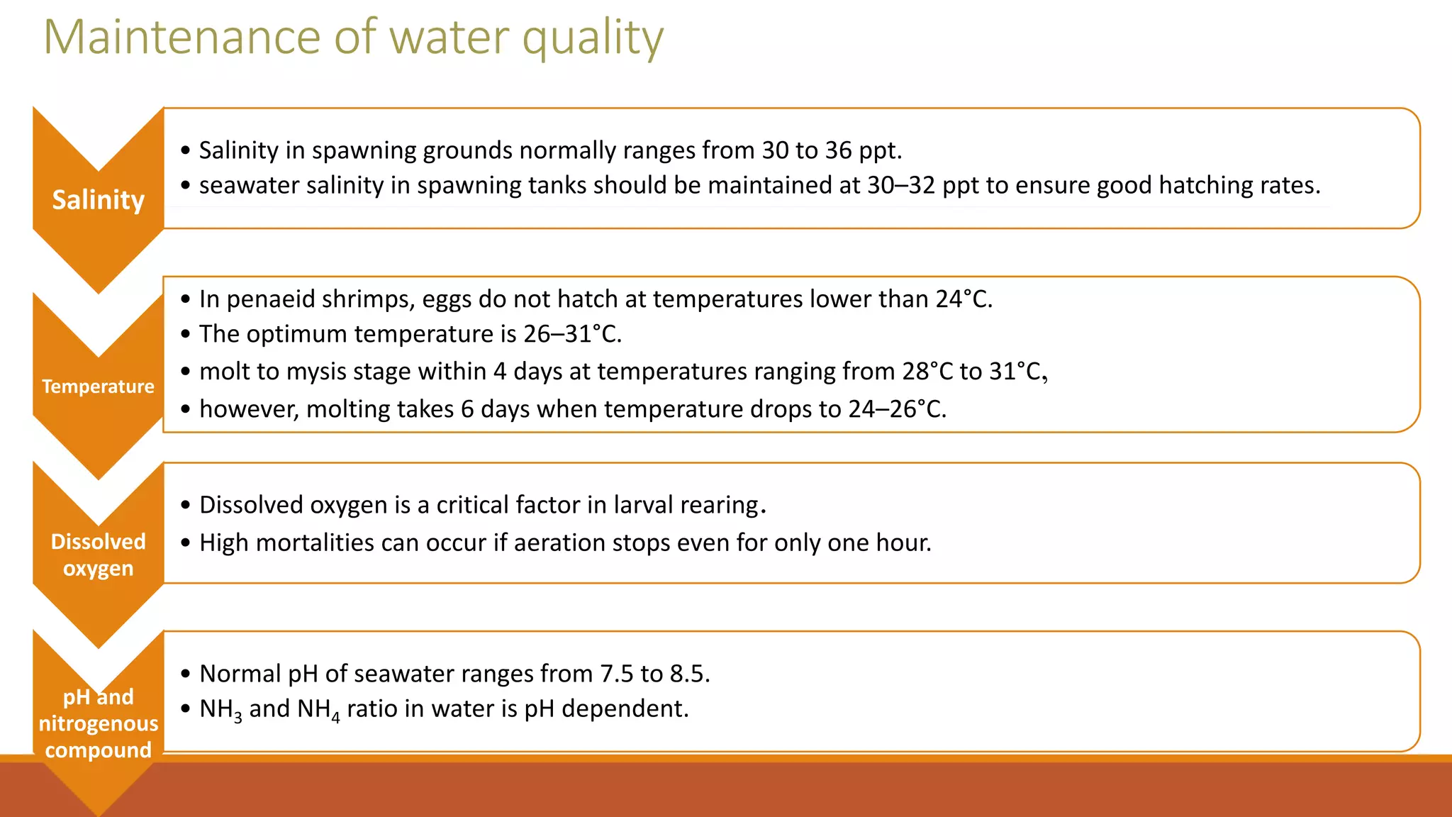 ROUTINE HATCHERY MANAGEMENT | PPT