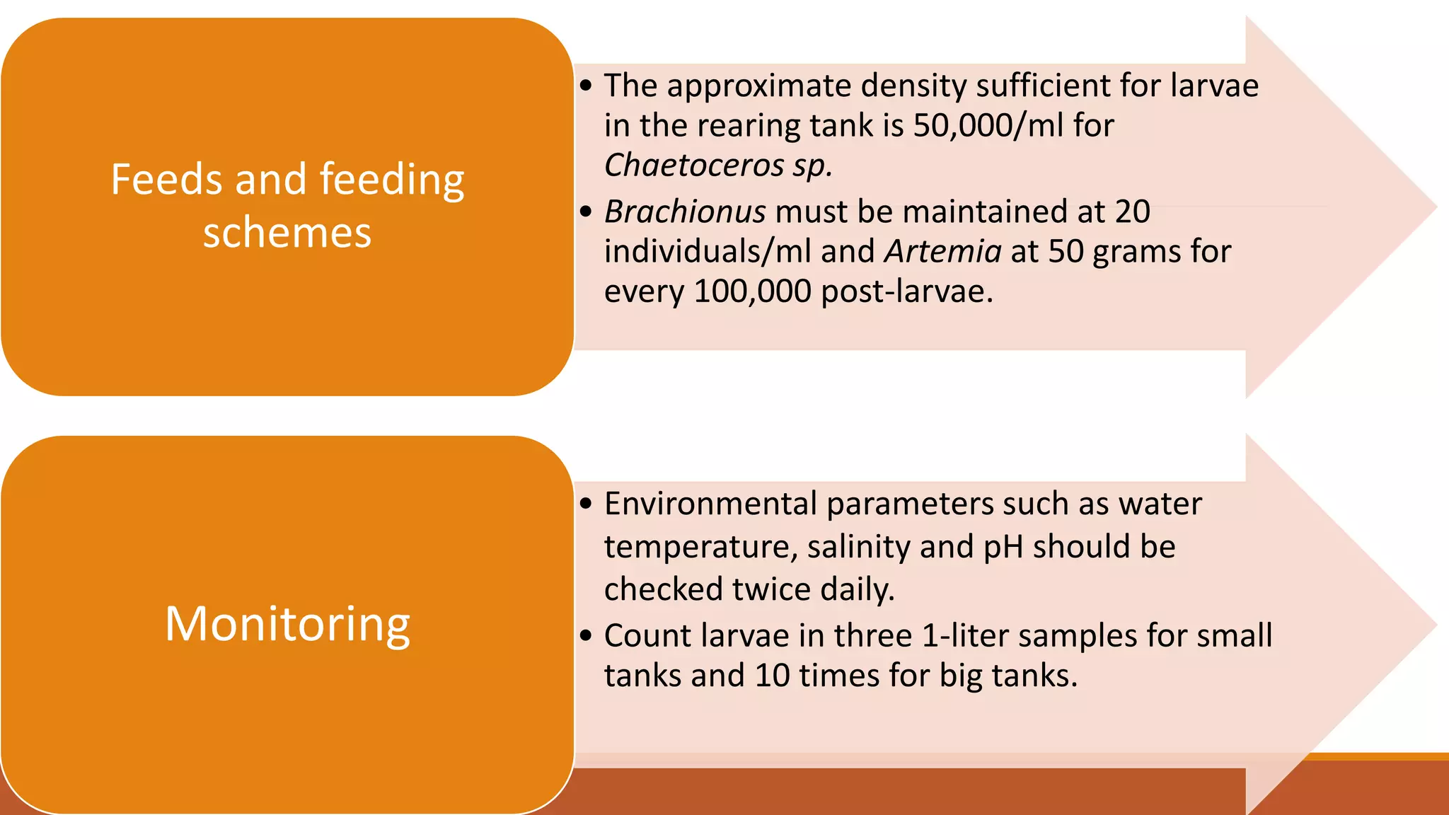 ROUTINE HATCHERY MANAGEMENT | PPT
