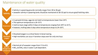 ROUTINE HATCHERY MANAGEMENT | PPTX