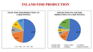 Present status, Constraints, future prospects and different Aquaculture ...