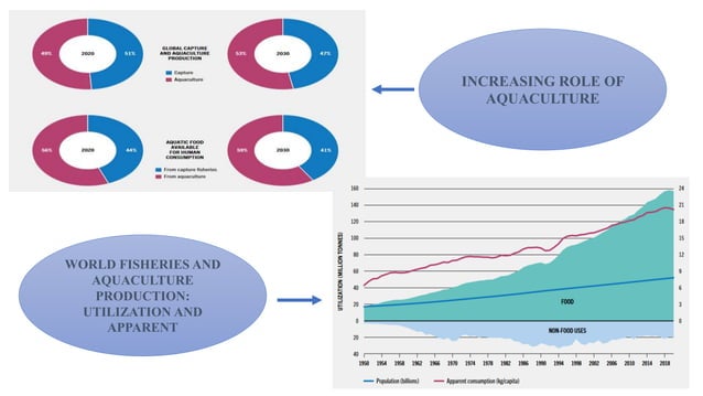 Present status, Constraints, future prospects and different Aquaculture ...