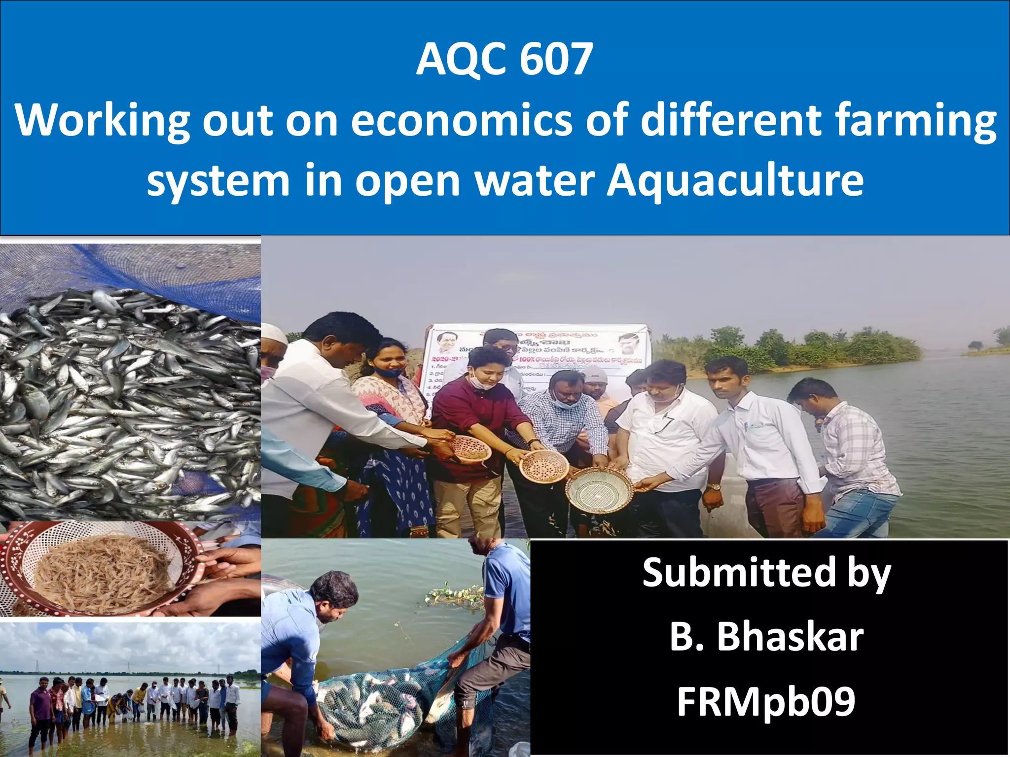 Economics of major Open water fish farming systems | PDF