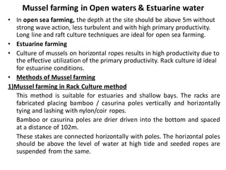 Economics of major Open water fish farming systems | PDF