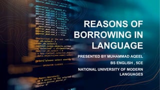 Reasons of Borrowing in language | PPTX