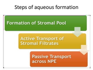 Aqueous production and drainage | PPTX