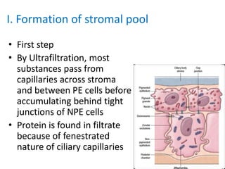 Aqueous production and drainage | PPTX