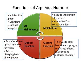 Aqueous production and drainage | PPTX