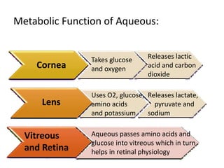 Aqueous production and drainage | PPTX