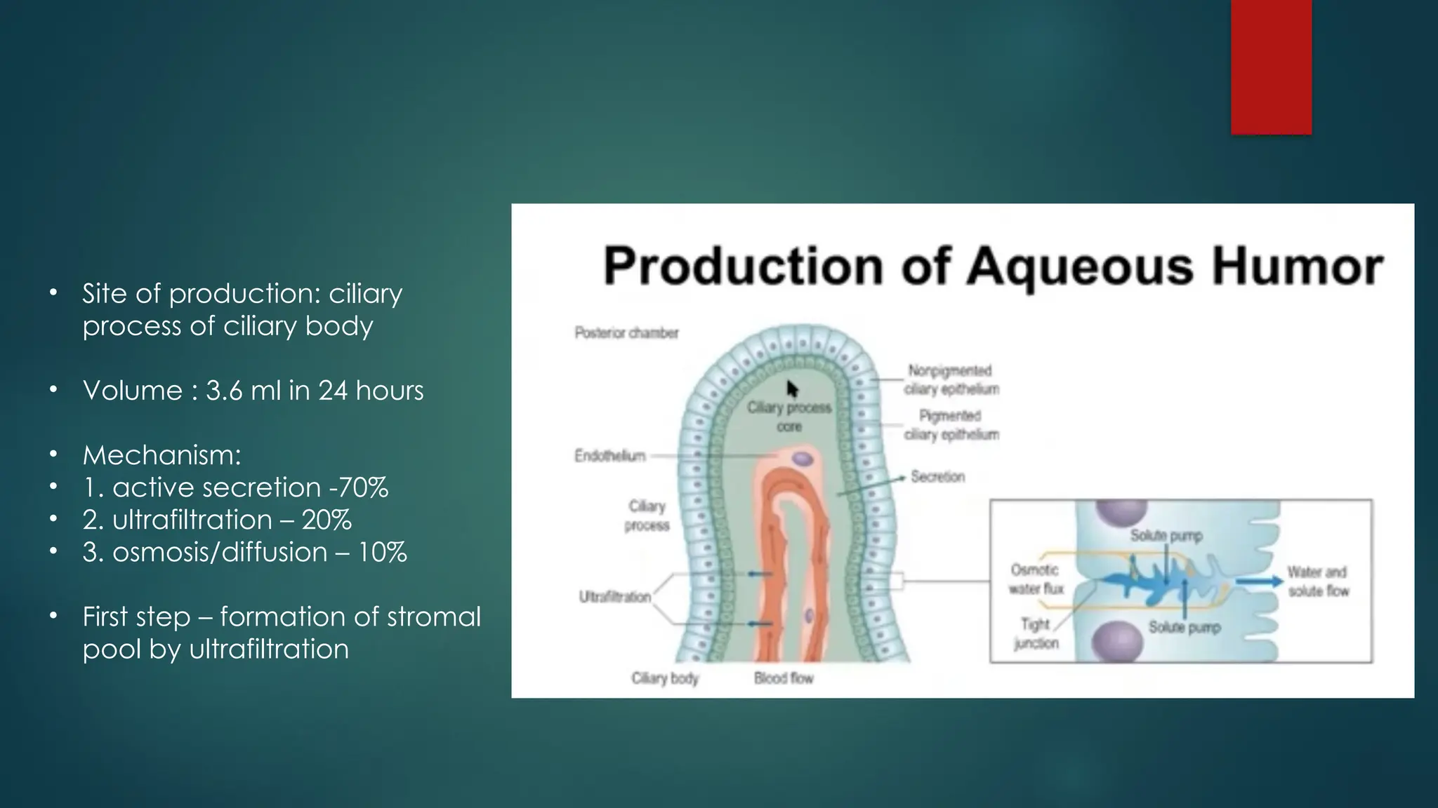 AQEOUS HUMOR –FORMATION AND DYNAMICS.pptx