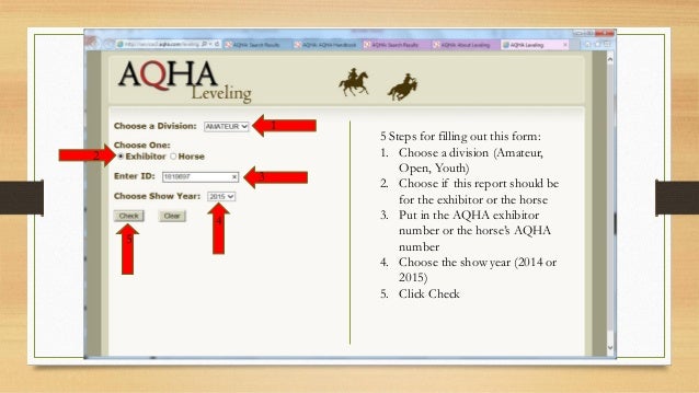 Explaining the AQHA Leveling Process - by Regina Kernin