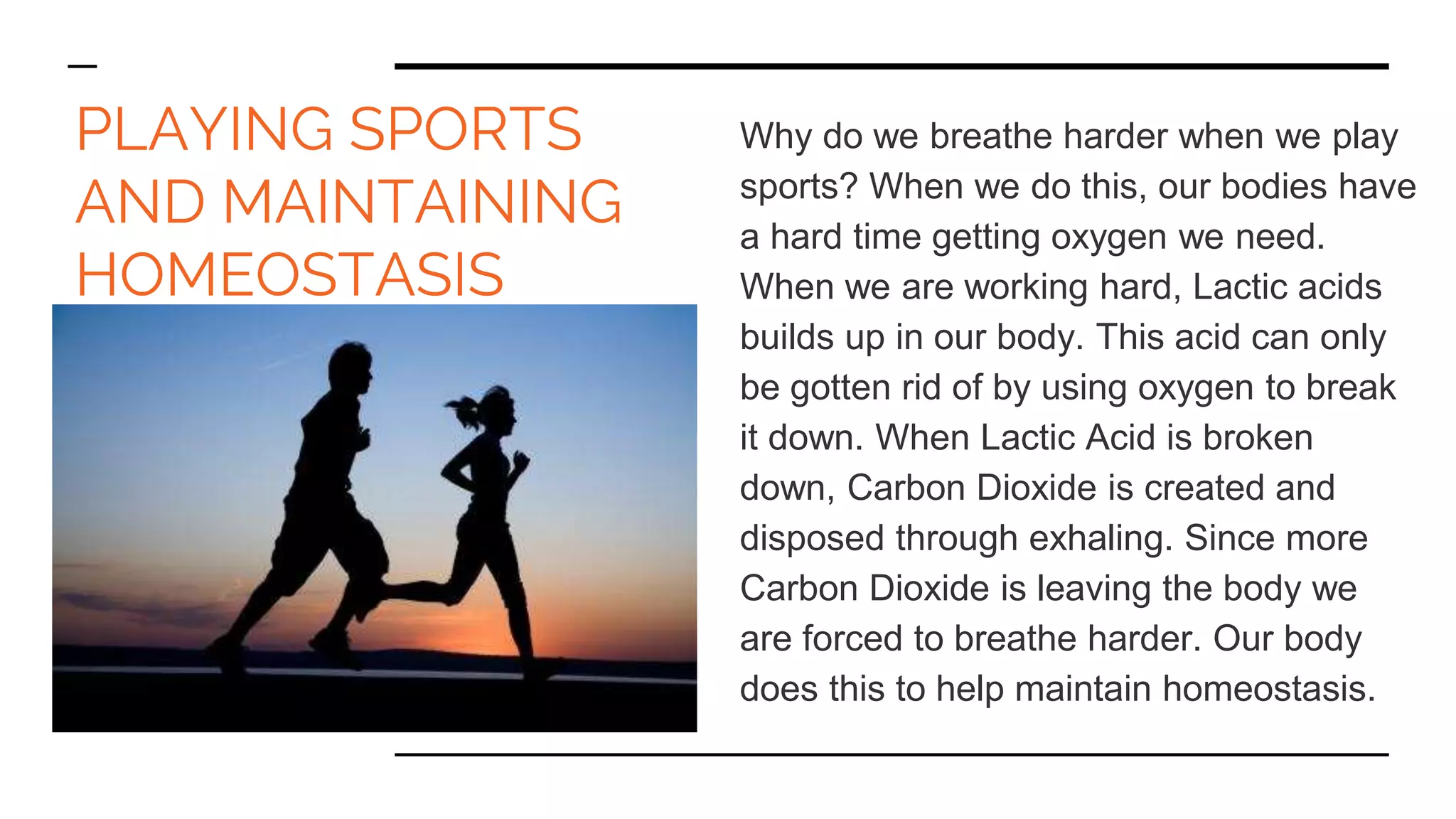Respiratory system and homeostasis | PPTX