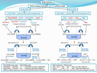 Option B, UV/vis spectroscopy, Protein analysis, Gel electrophoresis ...