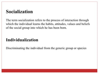 Work Ethic and Four combination of Socialization and Individualization ...