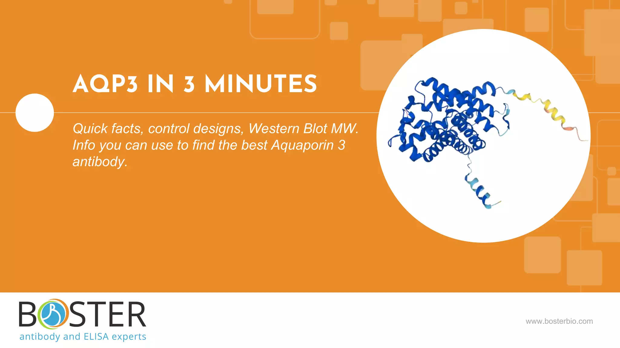 Learn AQP3 in 3 minutes | Aquaporin 3 | PPTX | Chemistry | Science