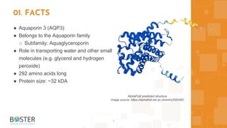 Learn AQP3 in 3 minutes | Aquaporin 3 | PPTX | Chemistry | Science
