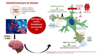 Neuromyelitis optica spectrum disorder -NMOSD : An AQP4 antibody ...