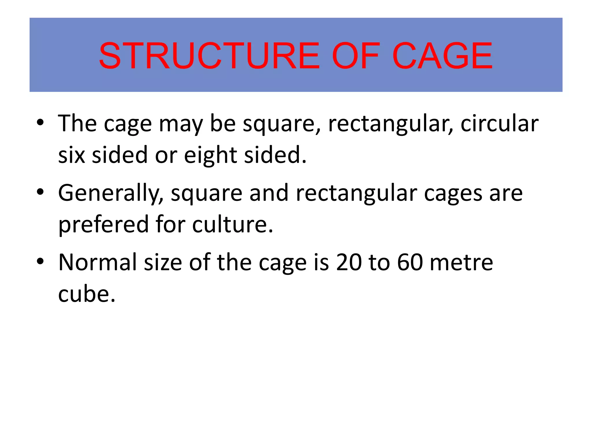 CAGE CULTURE | PPTX