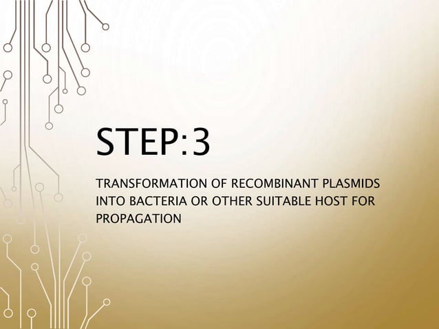 gene cloning, secreening a library, cloning products, requrements, | PPT