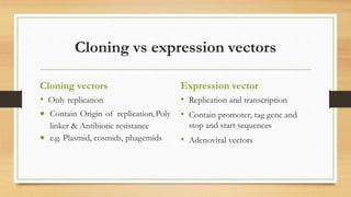Vector isolation | PPTX