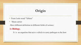 Vector Definition Biology