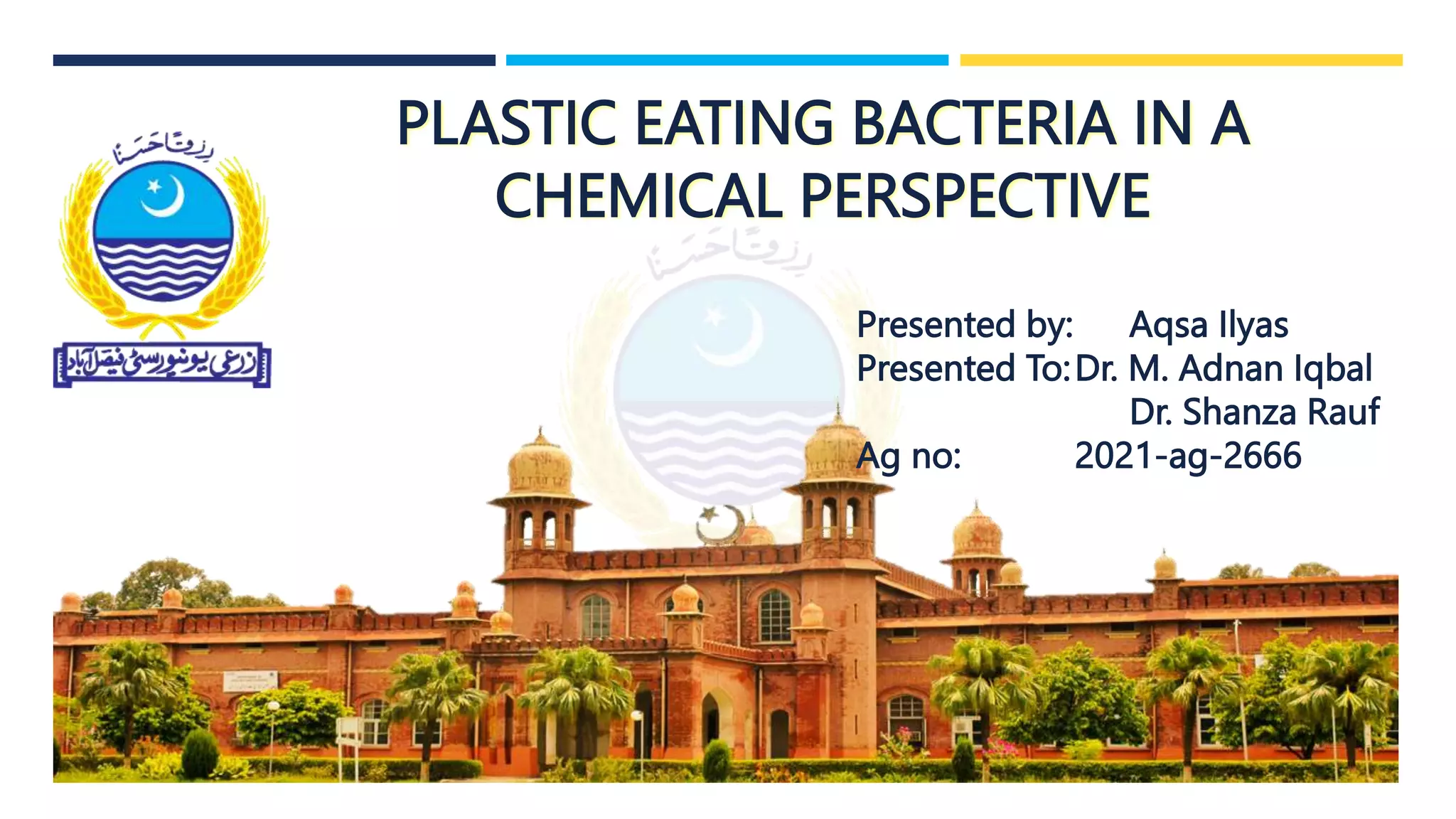 Aqsa Ilyas (plastic eating bacteria in a chemical perspective).pptx