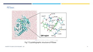 Aqsa Ilyas (plastic eating bacteria in a chemical perspective).pptx